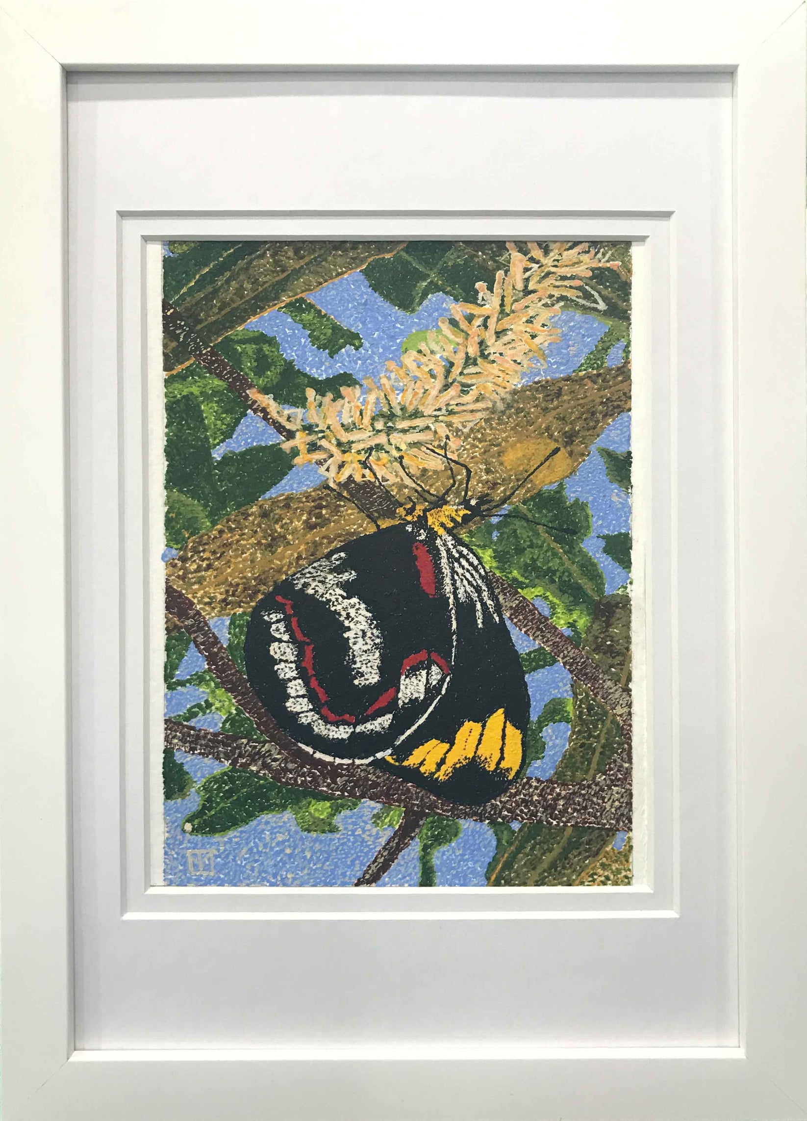 Just Living isn’t Enough, said the Butterfly – TraceysColourMyWorld